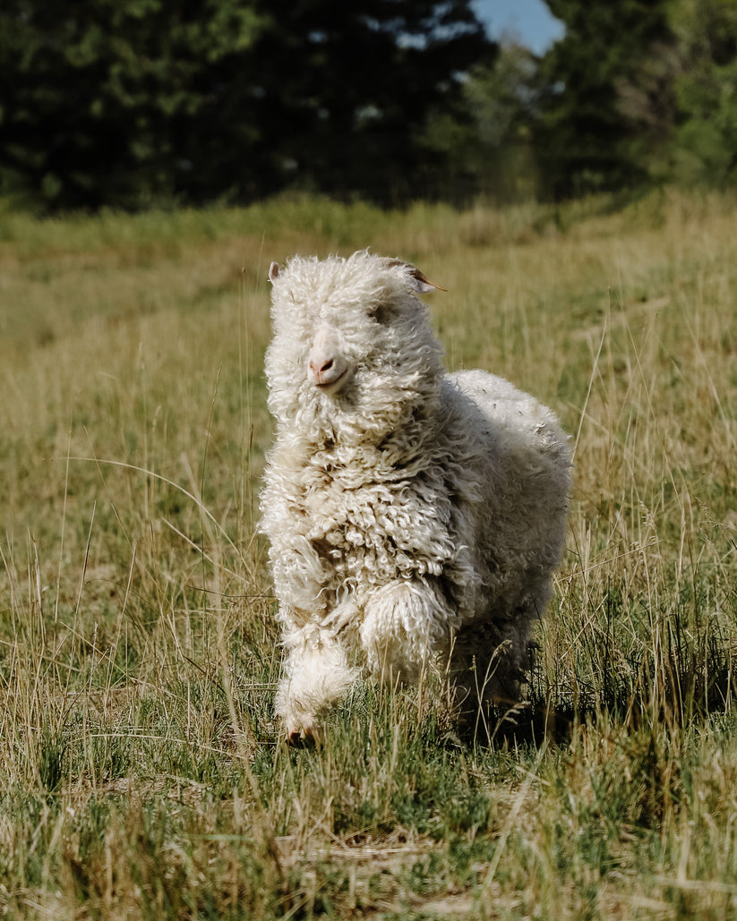 Ankle Socks – Caprine